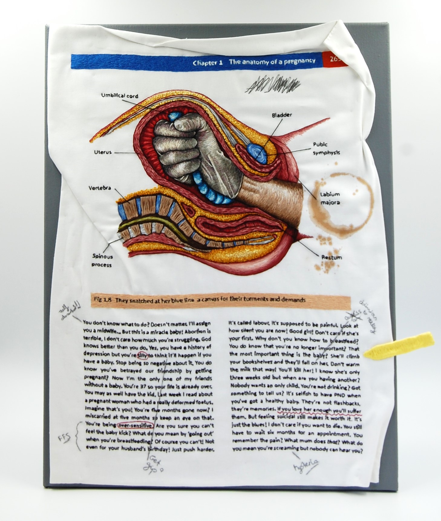 Community Spotlight: Cath Janes and Anatomical Embroidery ...