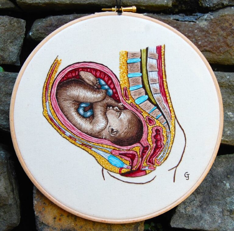 Community Spotlight: Cath Janes and Anatomical Embroidery ...
