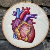 Community Spotlight: Cath Janes and Anatomical Embroidery ...