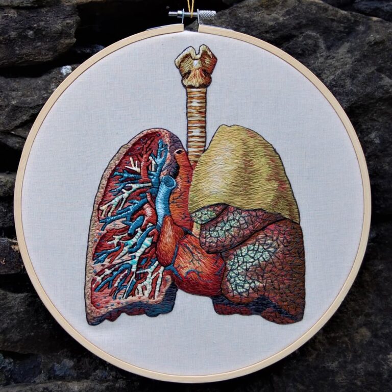 Community Spotlight: Cath Janes and Anatomical Embroidery ...